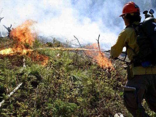 X15 Flamethrower | Throwflame.com