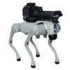Thermonator Flamethrower Robot Dog | Throwflame.com