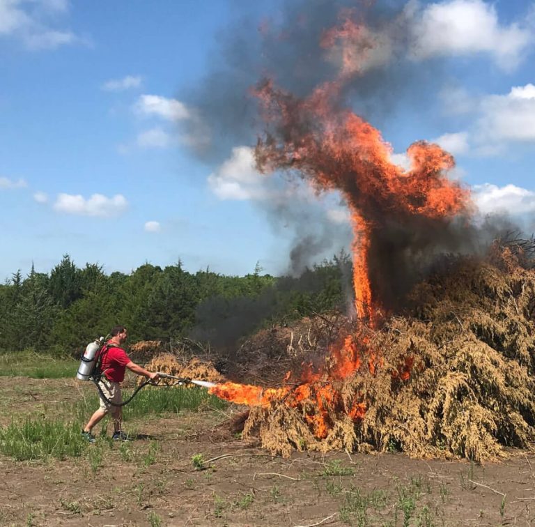 X15: Handheld Flamethrower, 50ft Range | Throwflame