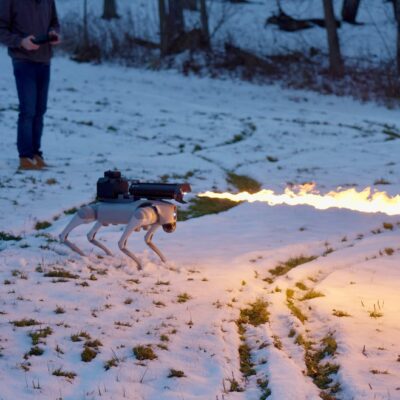 Thermonator Flamethrower Robot Dog | Throwflame.com