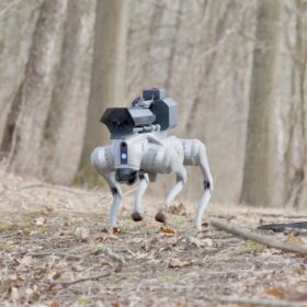 Thermonator Flamethrower Robot Dog | Throwflame.com