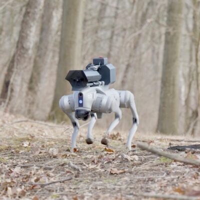 Thermonator Flamethrower Robot Dog | Throwflame.com