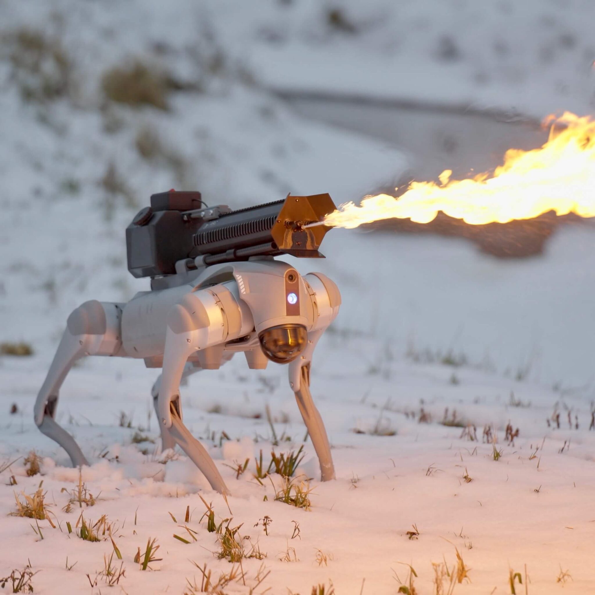Thermonator: The Flamethrower Robot Dog | Throwflame