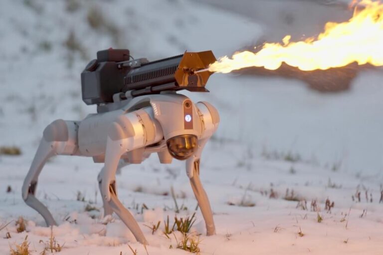 ARC Personal | Flamethrower for Sale